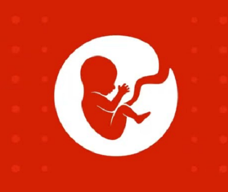 BitLife Simulator - Play Online BitLife Simulator on Race Survival